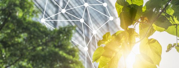 IoT ワイヤレスメッシュ | Mileruntech